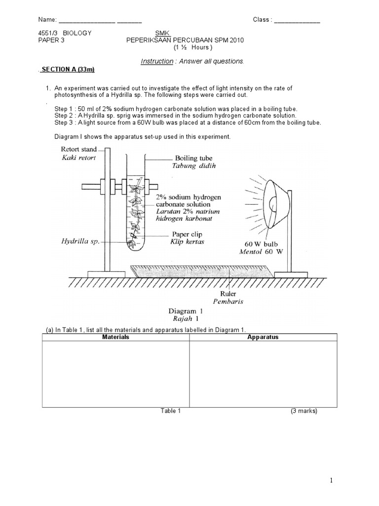 Effects of Light on Hydrilla Photosynthesis | PDF | Fermentation ...