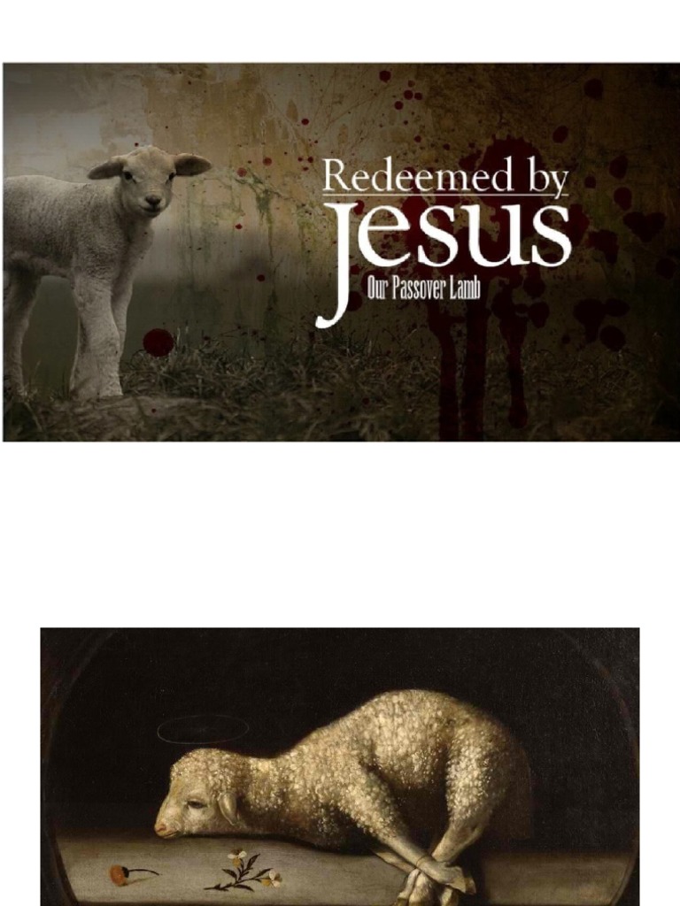 Passover Lamb | PDF | Lamb Of God | Passover