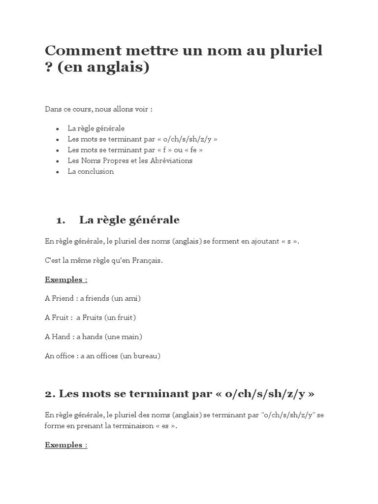 Le Pluriel Des Noms en Anglais | PDF