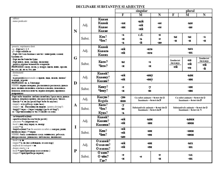 Declinare Substantive Si Adjective Tabel | PDF