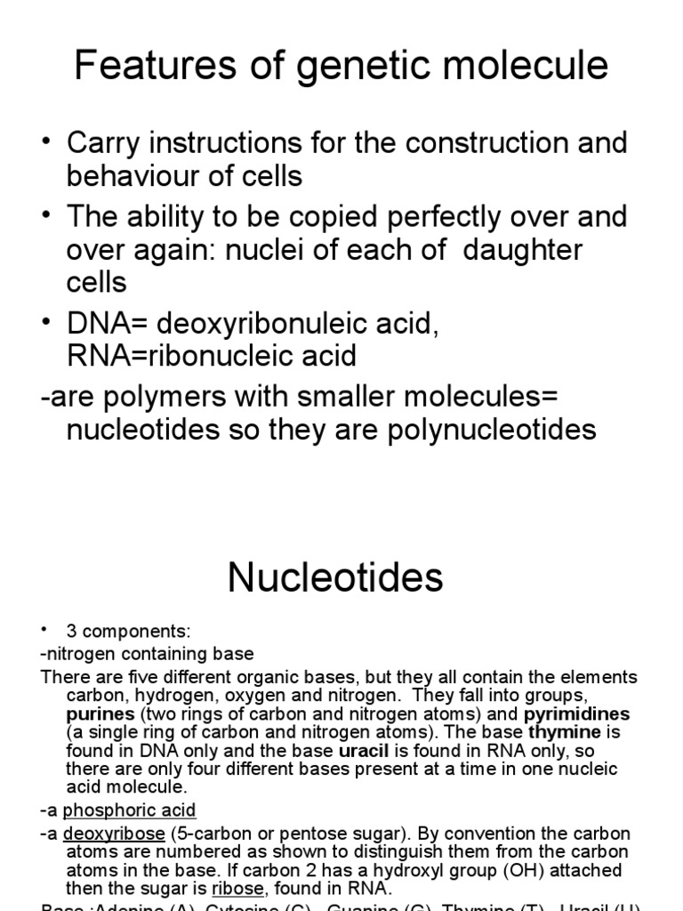 Genetic Control of Protein | PDF | Mitosis | Ribosome