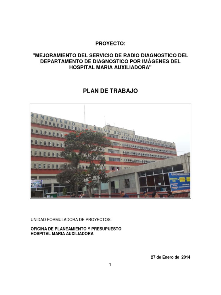 Plan de Trabajo PIP Rayos X Hospital María Auxiliadora | PDF | Hospital ...