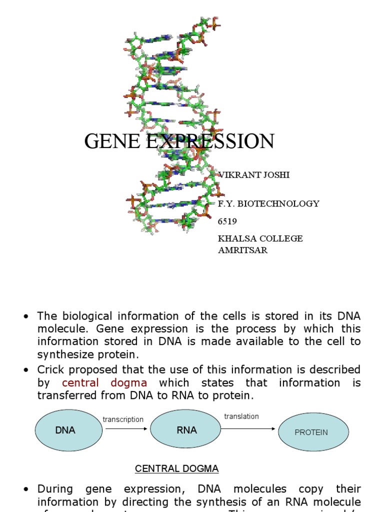 Gene Expression: Vikrant Joshi F.Y. Biotechnology 6519 Khalsa College ...
