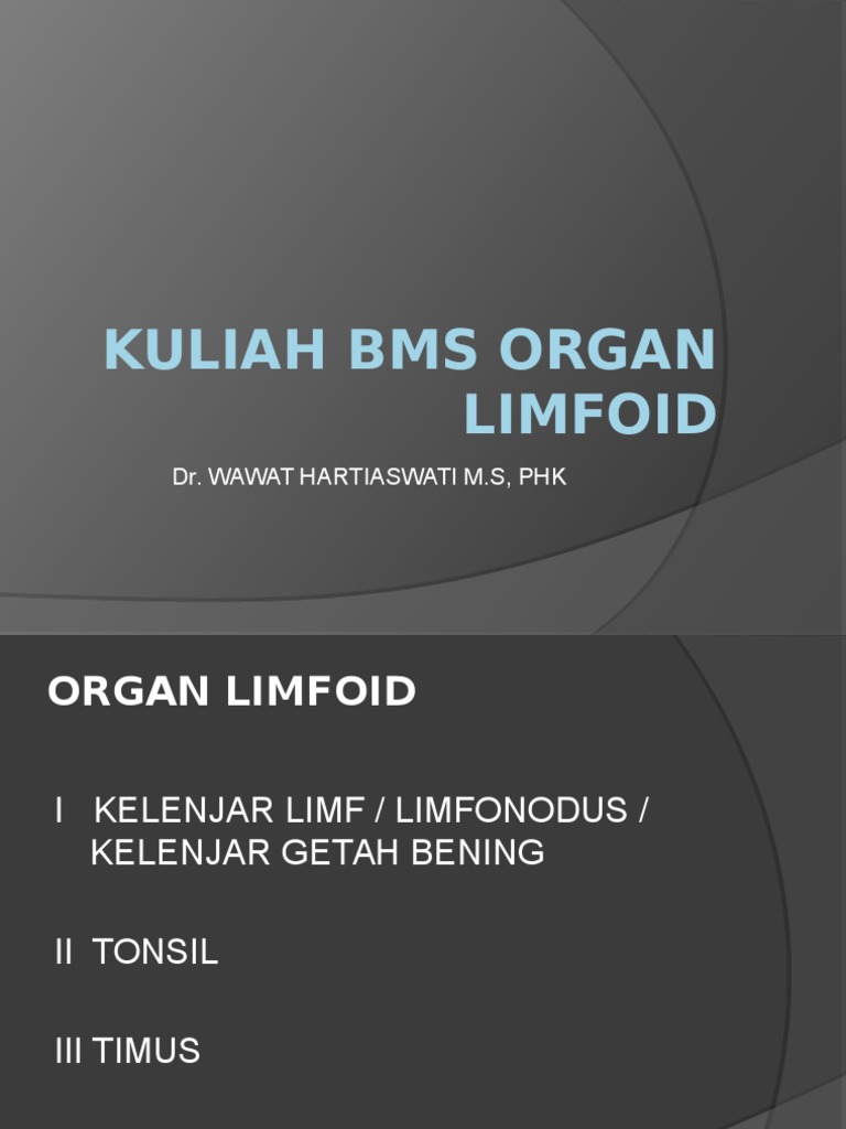 Organ Limfoid | PDF