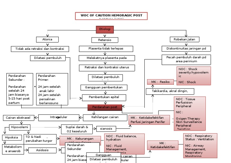 Woc Hemoragic Post Partum | PDF