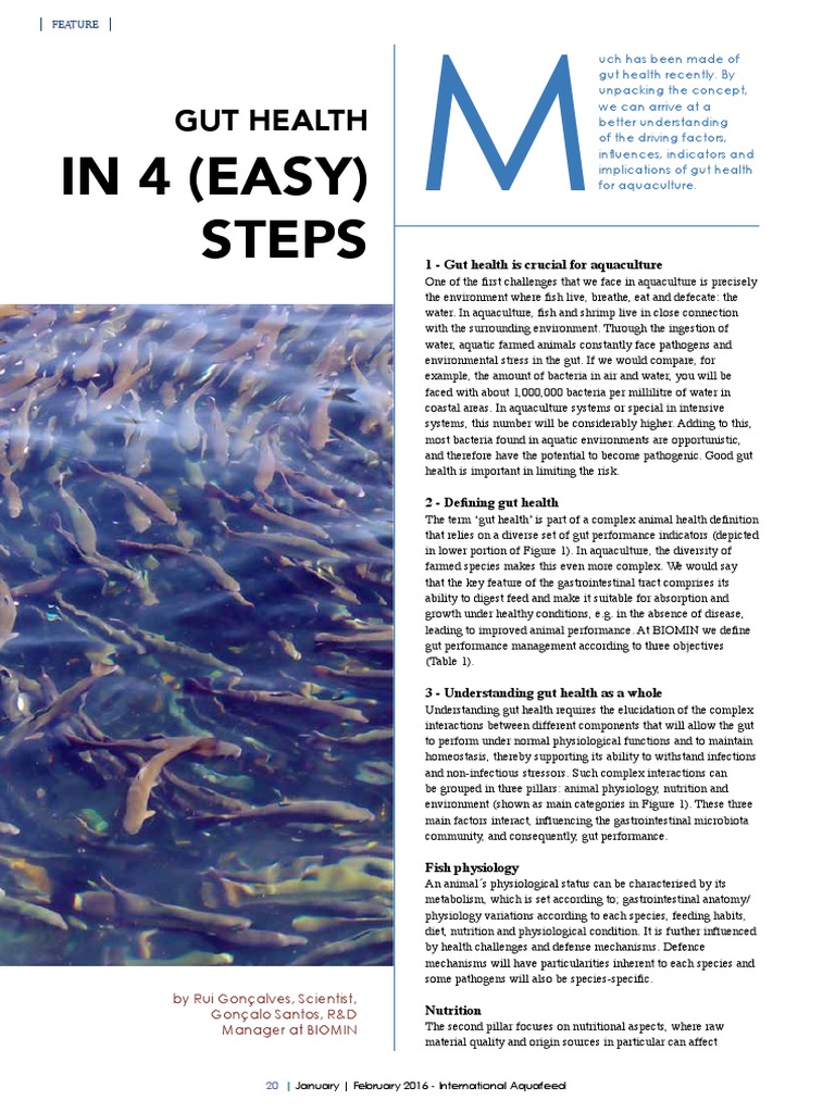 Gut Health in 4 (Easy) Steps | PDF | Gastrointestinal Tract | Probiotic