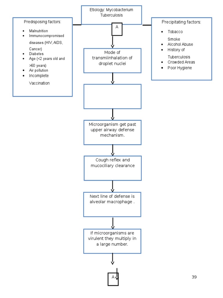 TB PathoPhysiology | PDF | Tuberculosis | Medical Specialties