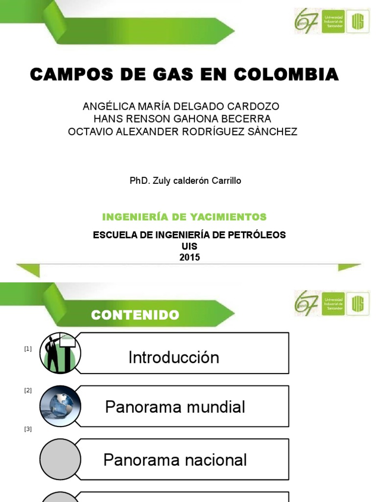 Chuchupa | PDF | Gas natural | Industria energetica