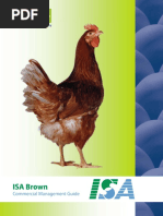 Layer Poultry Farming for Beginners | PDF | Poultry Farming | Chicken