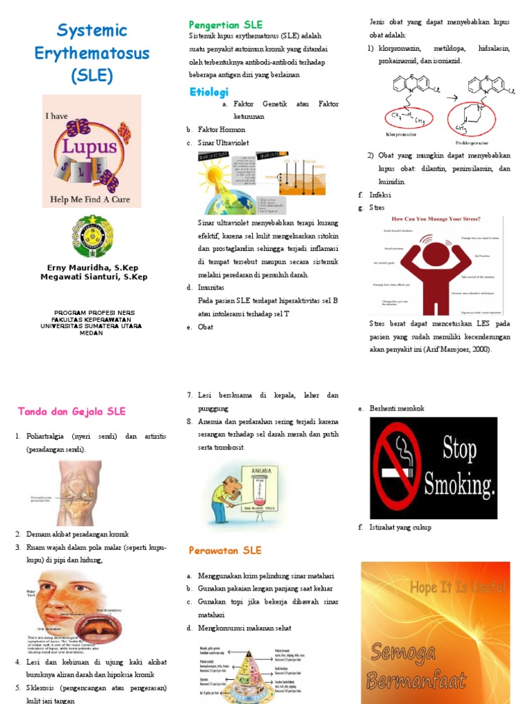 Leaflet Sle | PDF | Sains & Matematika