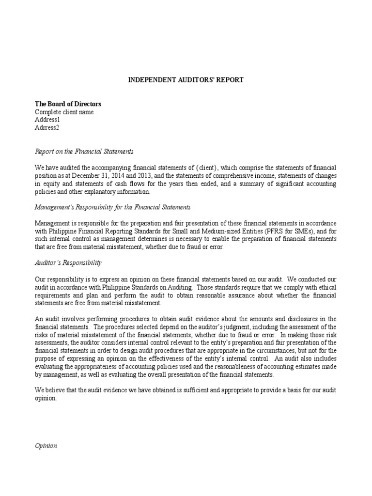 Independent Auditor's Report on the 2014 Financial Statements of ...