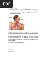 Bentuk Dada Normal Dan Abnormal | PDF | Kajian Bahasa Asing | Sains ...