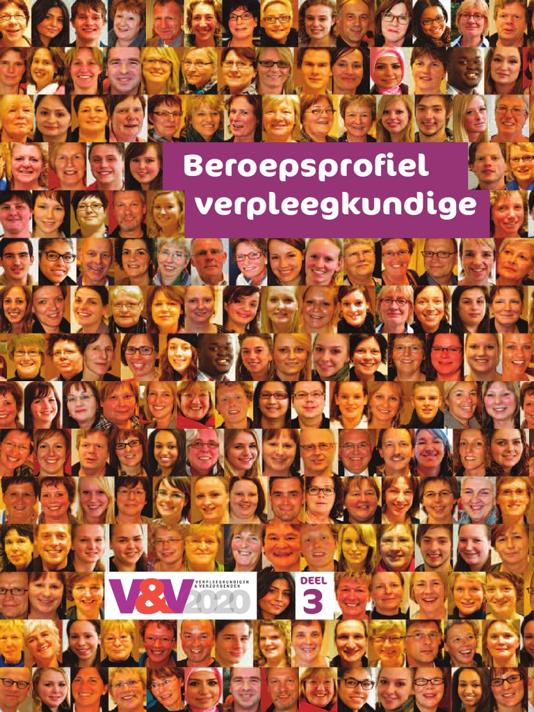 Beroepsprofiel Verpleegkundige - V&VN | PDF