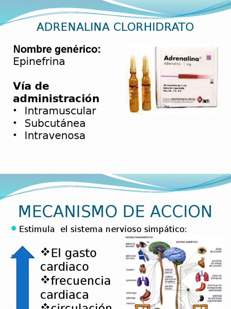 Adrenalina Clorhidrato | Aspirina | Epinefrina