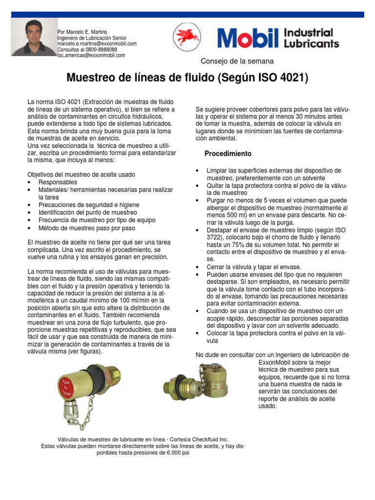 Análisis ISO 4021 | PDF | Muestreo (Estadísticas) | Organización ...