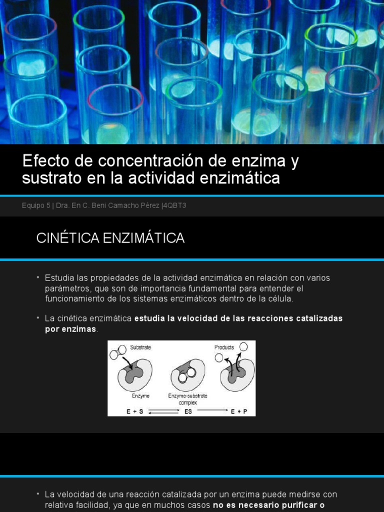 Tecnologia Enzimatica Sde | PDF | La cinética de enzimas | Enzima