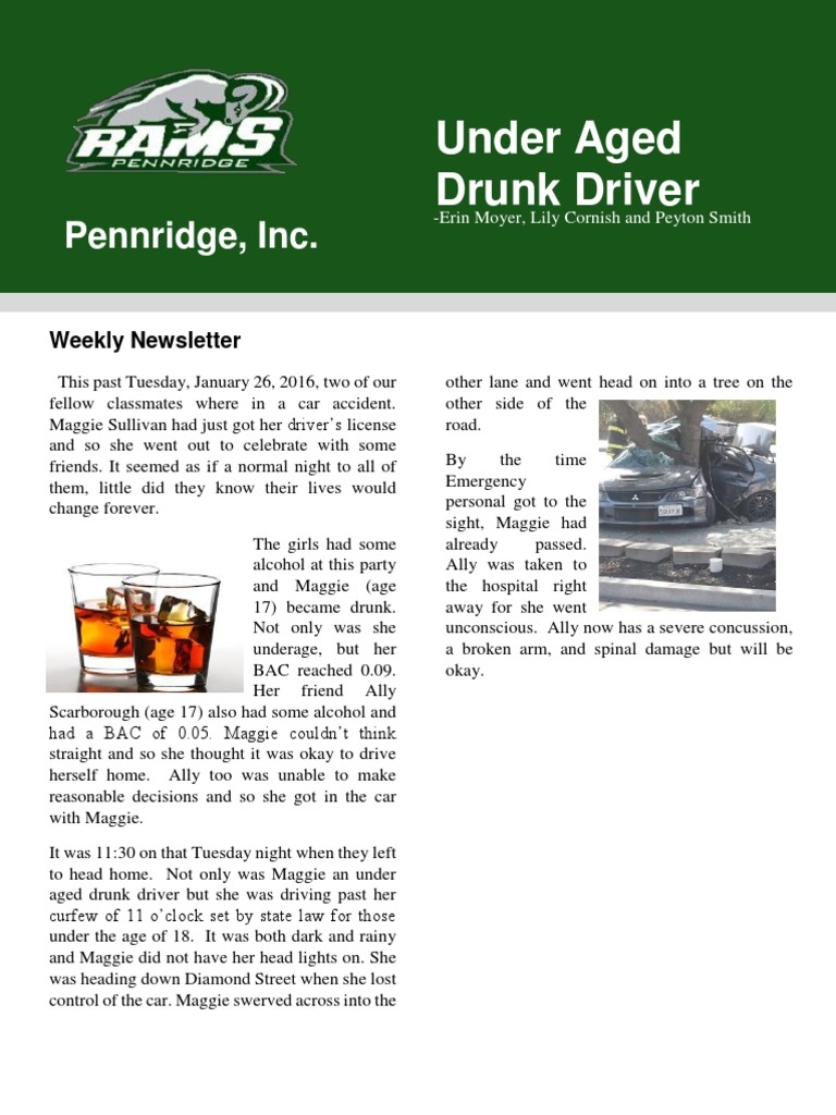 Newsletter For Alcohol Website | PDF