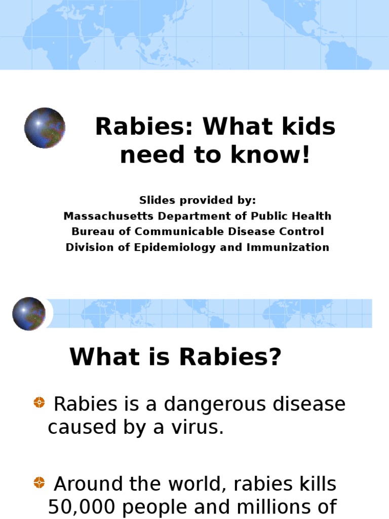 Kids Presentation | Download Free PDF | Rabies | Animals And Humans
