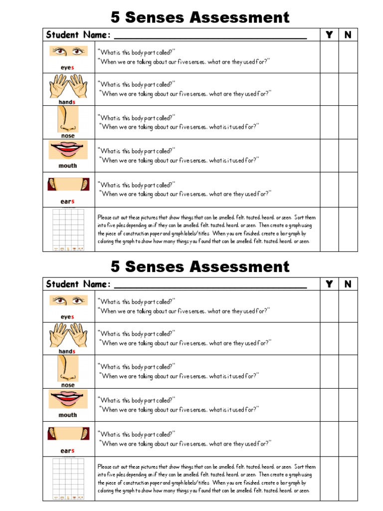 5 Senses Oral Assessment | PDF | Senses | Cognition