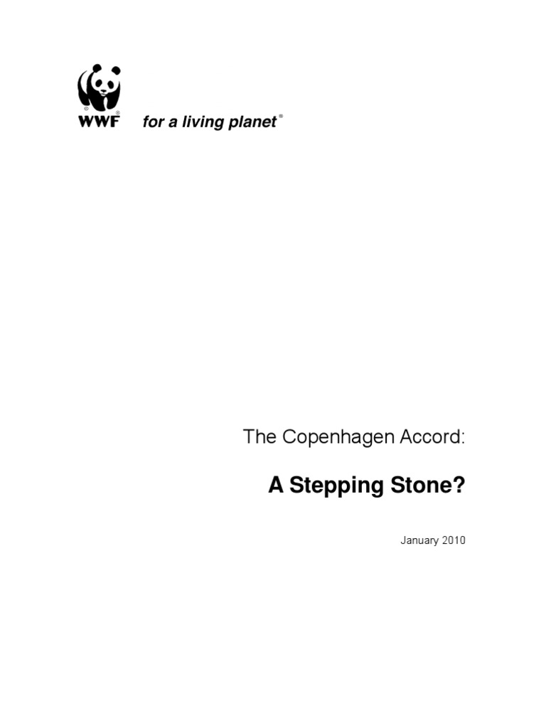 The Stepping Stone | PDF | Carbon Offset | Clean Development Mechanism