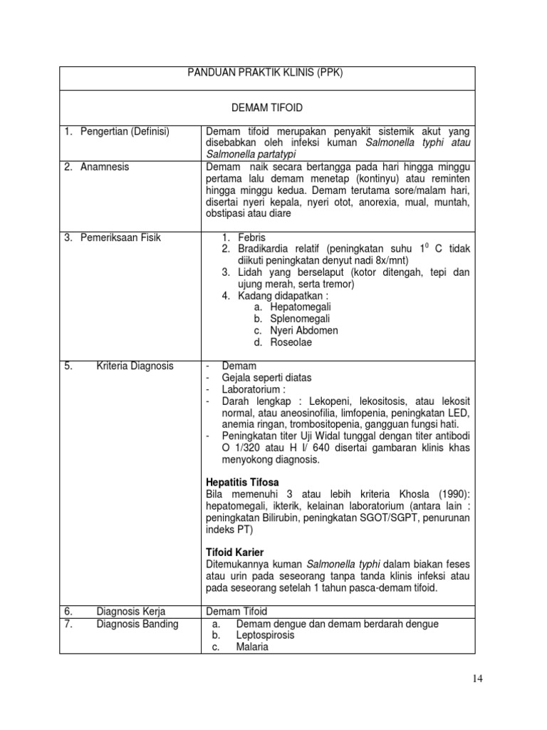 PPK Demam Tifoid | PDF