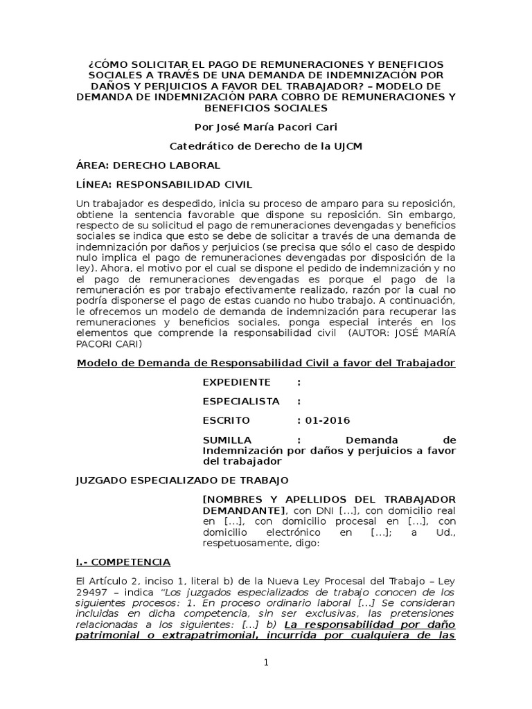 Cómo Solicitar El Pago de Remuneraciones y Beneficios Sociales a Través de Una Demanda de ...