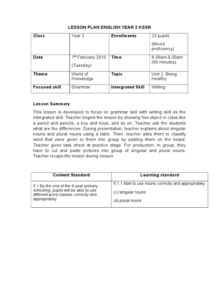 Year 3 Lesson Plan: Nouns Focus | PDF | Grammatical Number | Plural