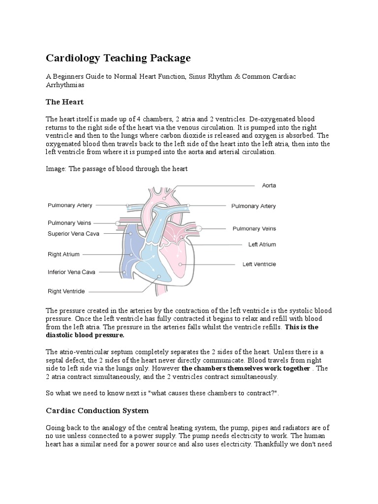 Cardiology Teaching Package | PDF | Atrium (Heart) | Heart
