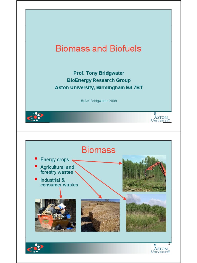 Biomass and Biofuels | PDF | Biofuel | Gasification