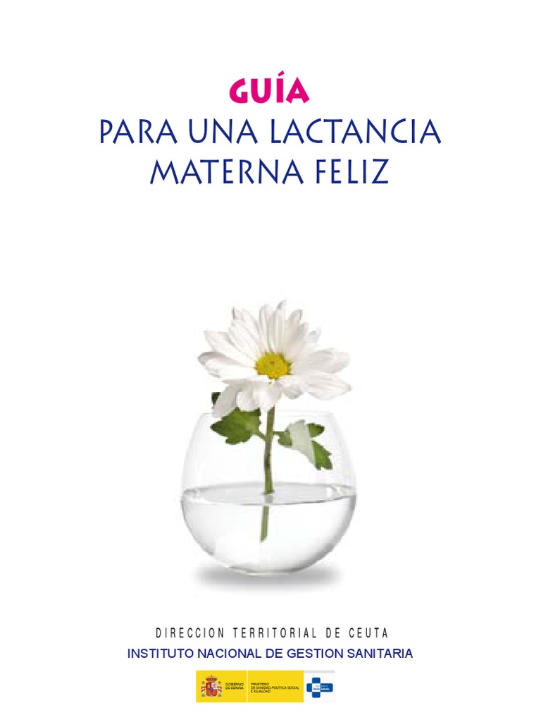 Guia Lactancia Materna Pdf Amamantamiento La Leche Materna