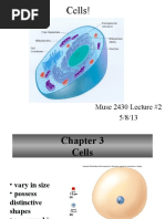 Chapter 3 ANATOMY AND PHYSIOLOGY CELL STRUCTURE & FUNCTION | PDF | Cell ...