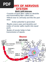 Nervous system of fish | Central Nervous System | Senses