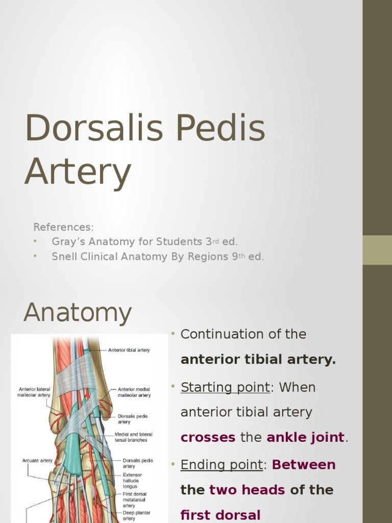 Dorsalis Pedis Artery | PDF