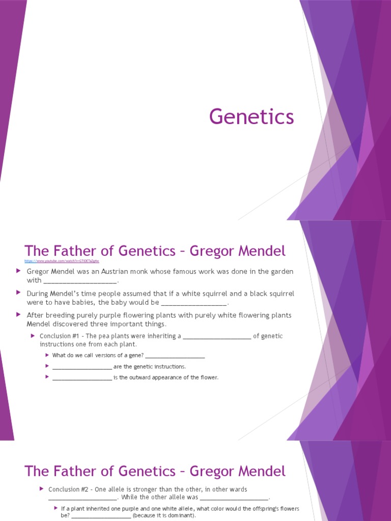 Understanding Mendel's Genetics Principles | PDF | Zygosity | Allele