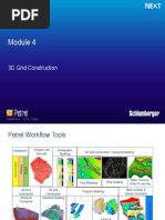Petrel Structural Modeling Guide | PDF | Data Analysis | Icon (Computing)