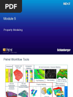 PETREL 1 Structural Modeling PDF | PDF | Data Analysis | Icon (Computing)