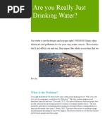 Water Pollution Case Study | PDF | Social Science | Wellness