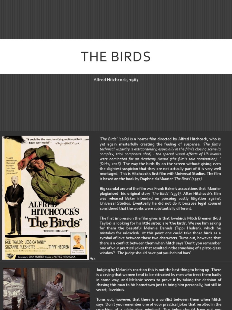 The Birds: Alfred Hitchcock, 1963 | PDF | Leisure
