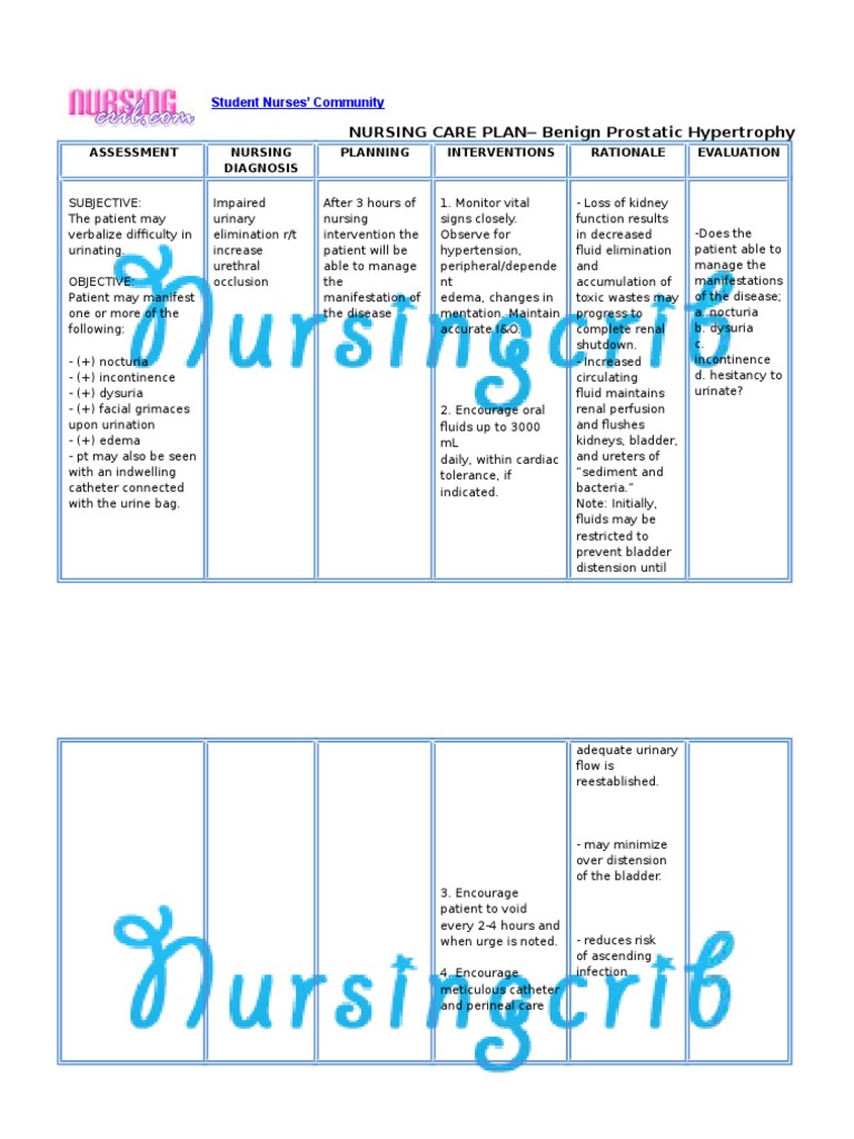 Nursing Care Plan For Benign Prostatic Hypertrophy NCP | PDF ...