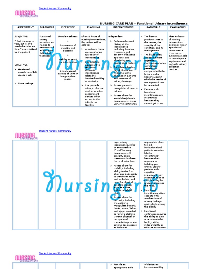 Nursing Care Plan for Urinary Incontinence | PDF | Urinary Incontinence ...