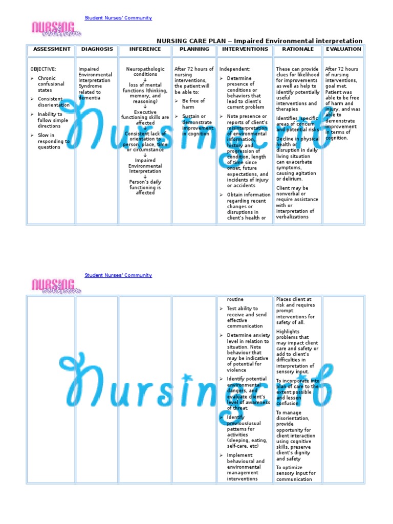 Nursing Care Plan for Impaired Environmental Interpretaion NCP ...