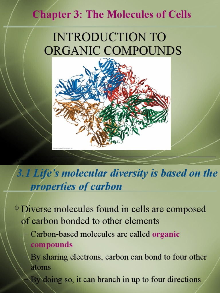 Introduction To Organic Compounds: Chapter 3: The Molecules of Cells ...