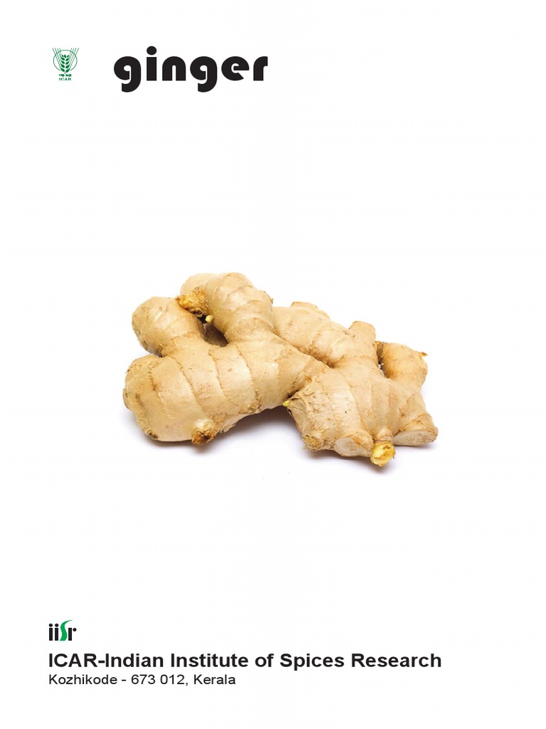 Ginger PDF | PDF | Organic Farming | Ginger