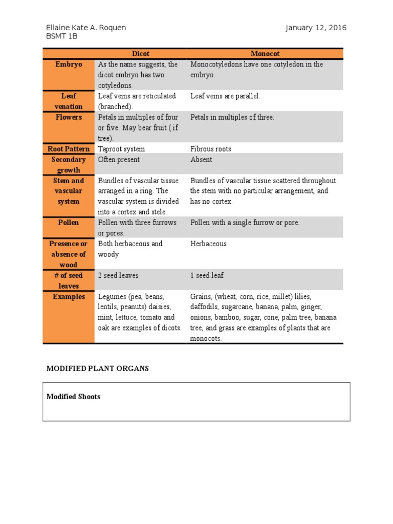 Modified Plant Organs | PDF | Fruit | Root