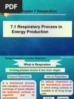 ICU NCP Airway | PDF | Respiratory Tract | Respiratory System
