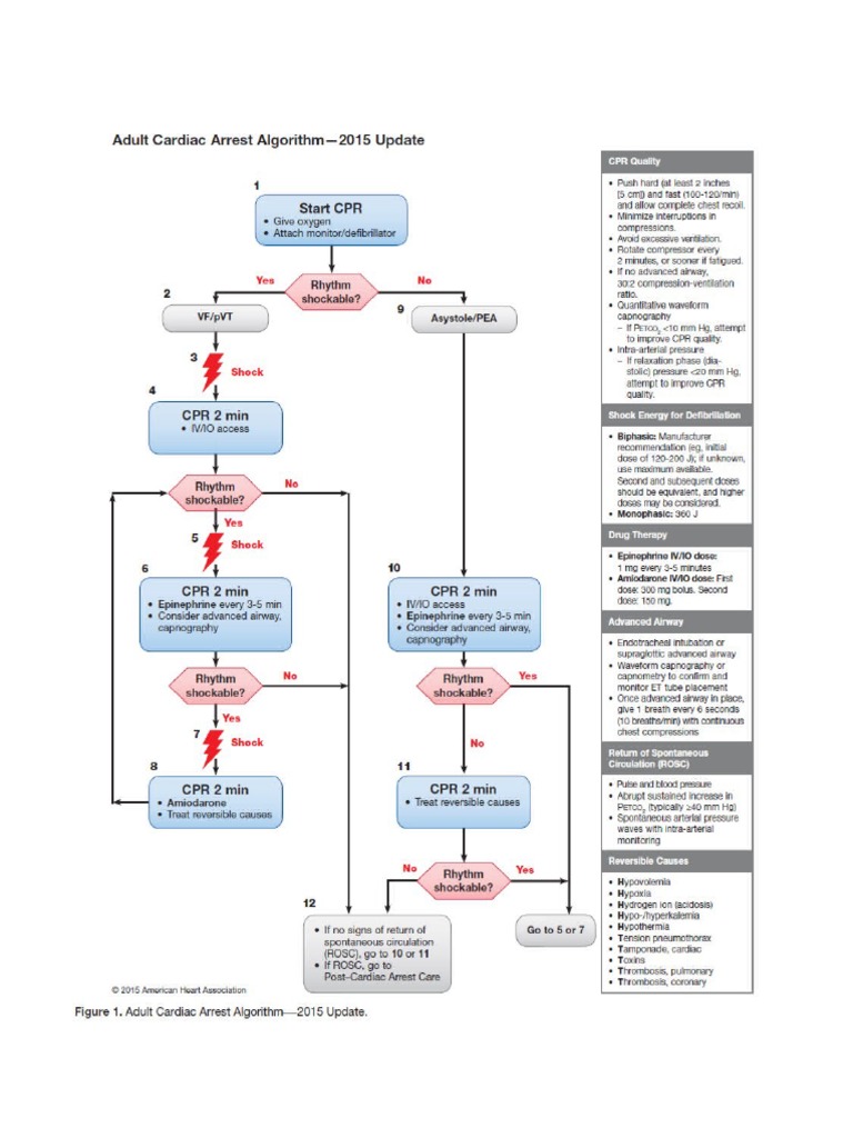 Acls | PDF