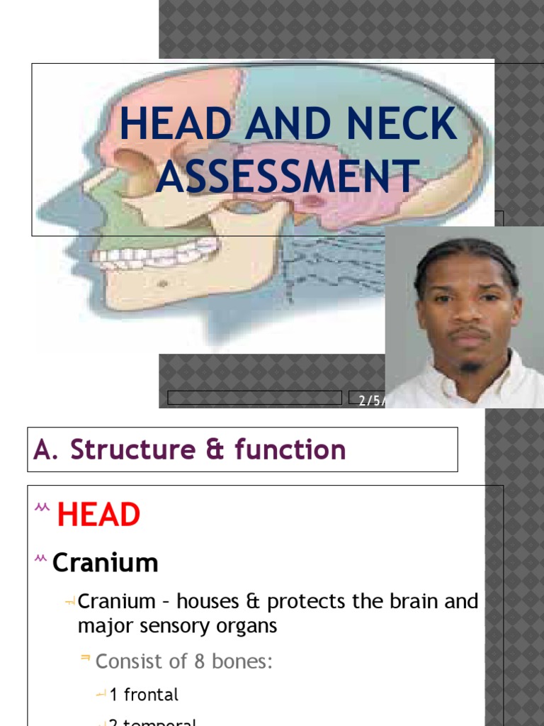 Head and Neck Assessment Guide | PDF | Neck | Human Head And Neck