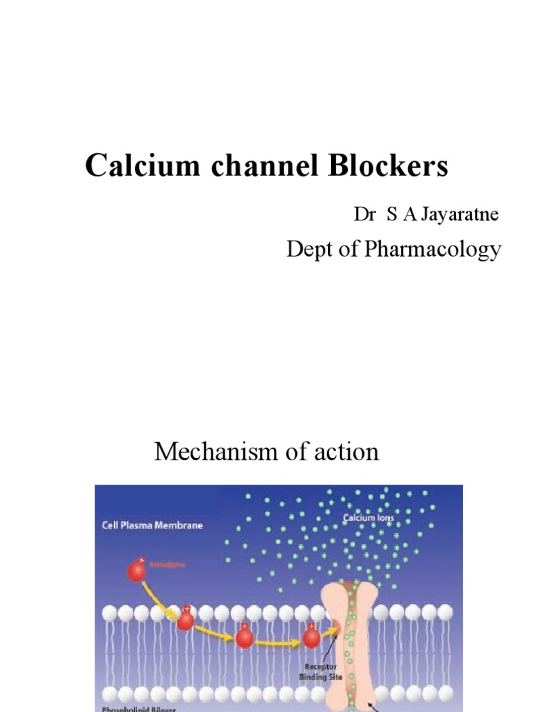 Mechanisms of Action, Pharmacological Effects, Types, and Clinical Uses ...