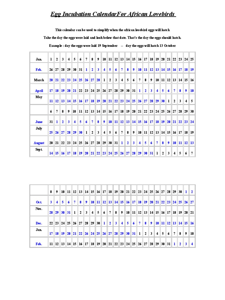 African Lovebird Egg Hatching Calendar | PDF