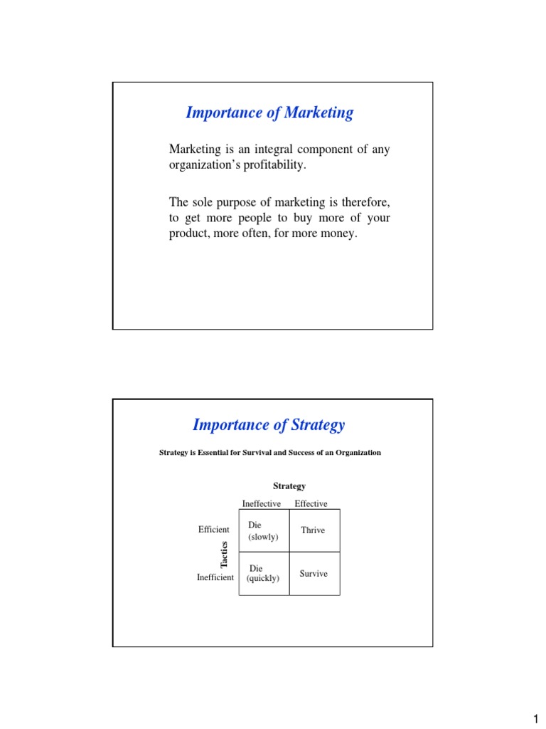 Introduction To Marketing Strategy | PDF